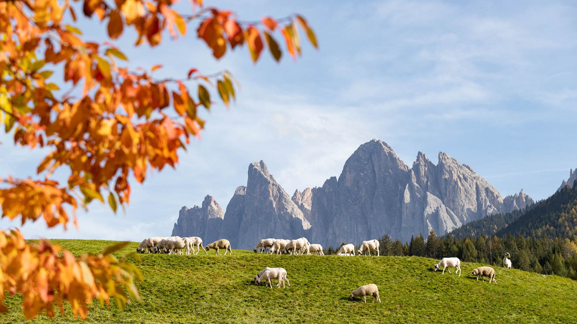 Villa Messner in Villnöss - Mitten im Herz der Dolomiten