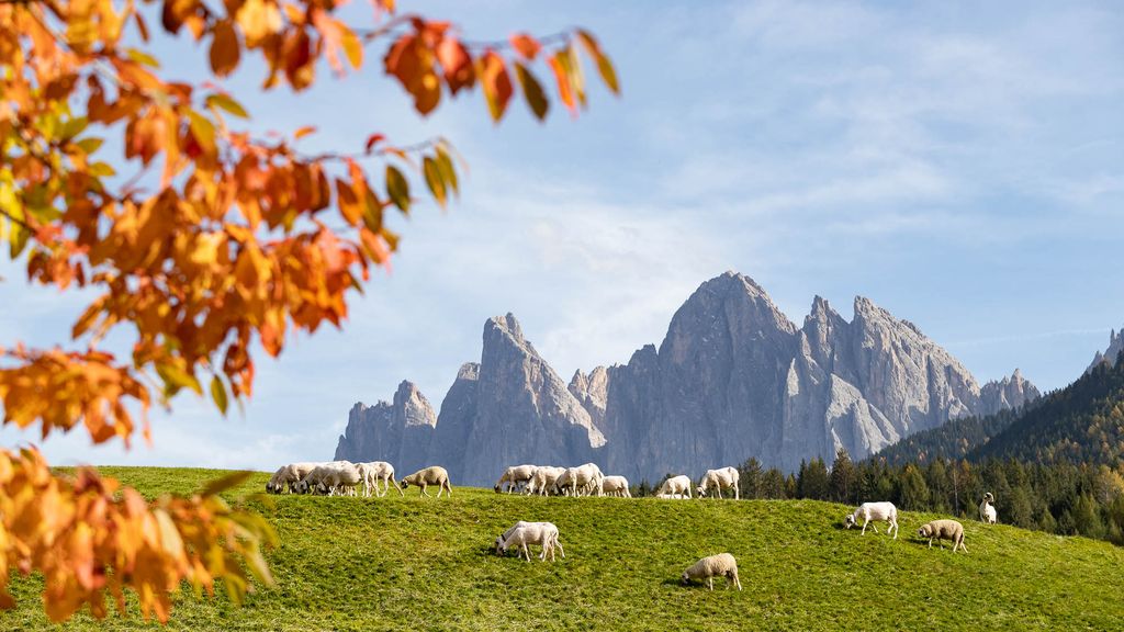 Villa Messner in Villnöss - Mitten im Herz der Dolomiten